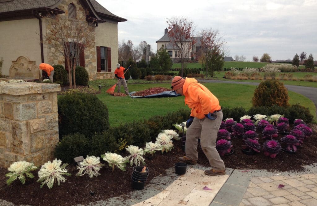 The Value of Premium Landscape Maintenance Services