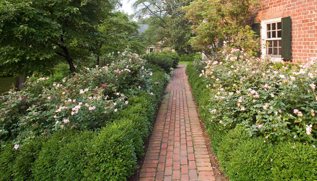 How to Prevent Perennials from Domineering Your Garden