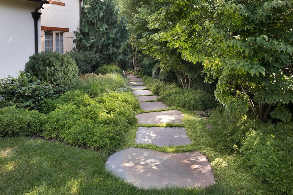 The Mature Landscape Aging Gracefully Surrounds Landscape Architecture