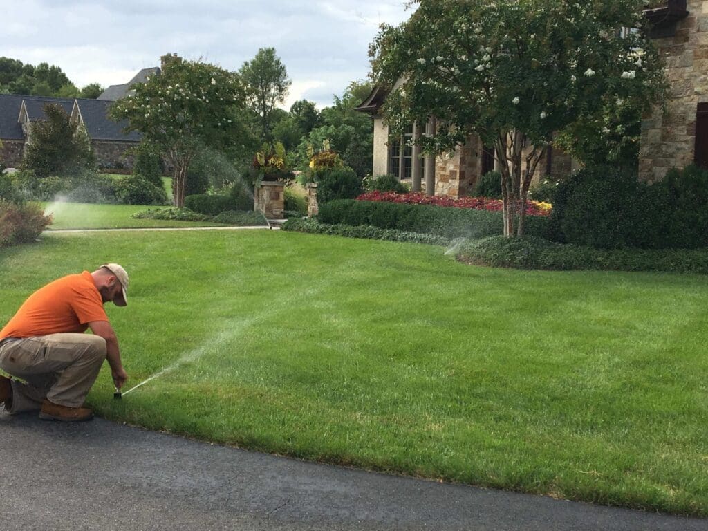 Achieving a Natural Landscape with Preventive Maintenance