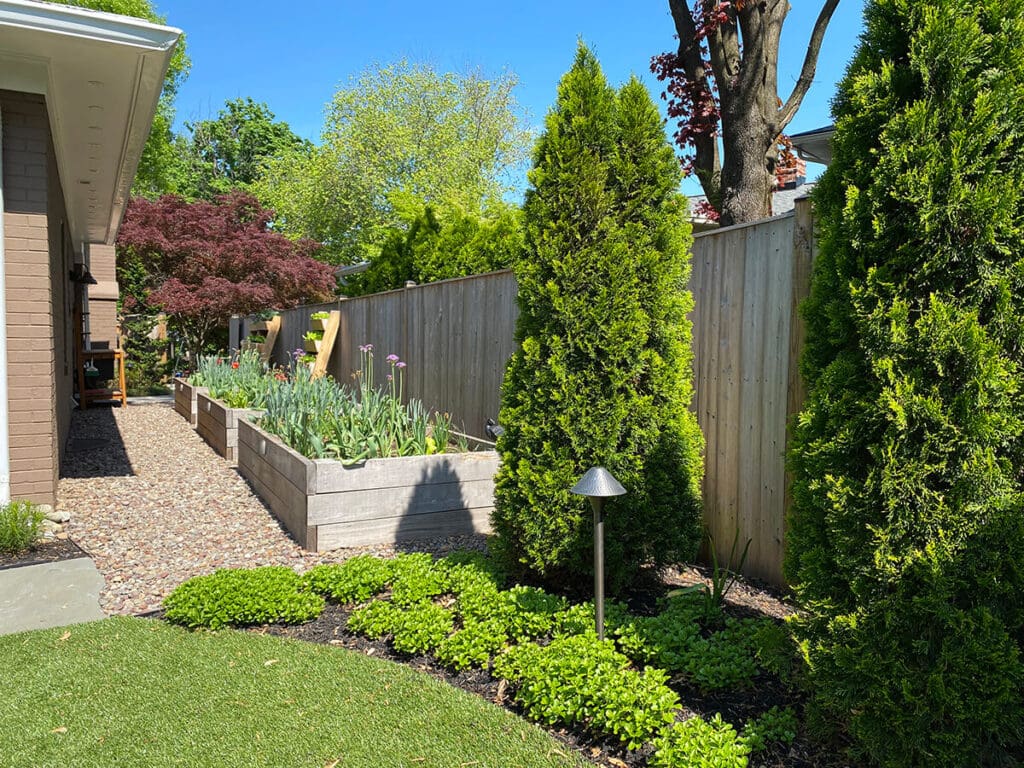 How to Redesign and Rebuild an Ailing Backyard to Make Room for an ...