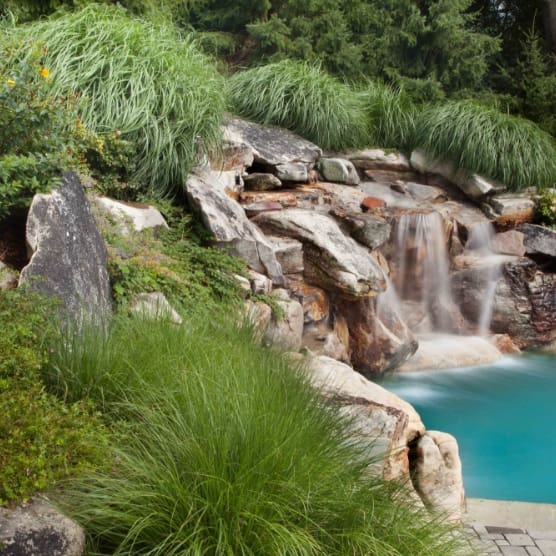 Surrounds Landscaping - Sense the sublime - Surrounds Landscaping